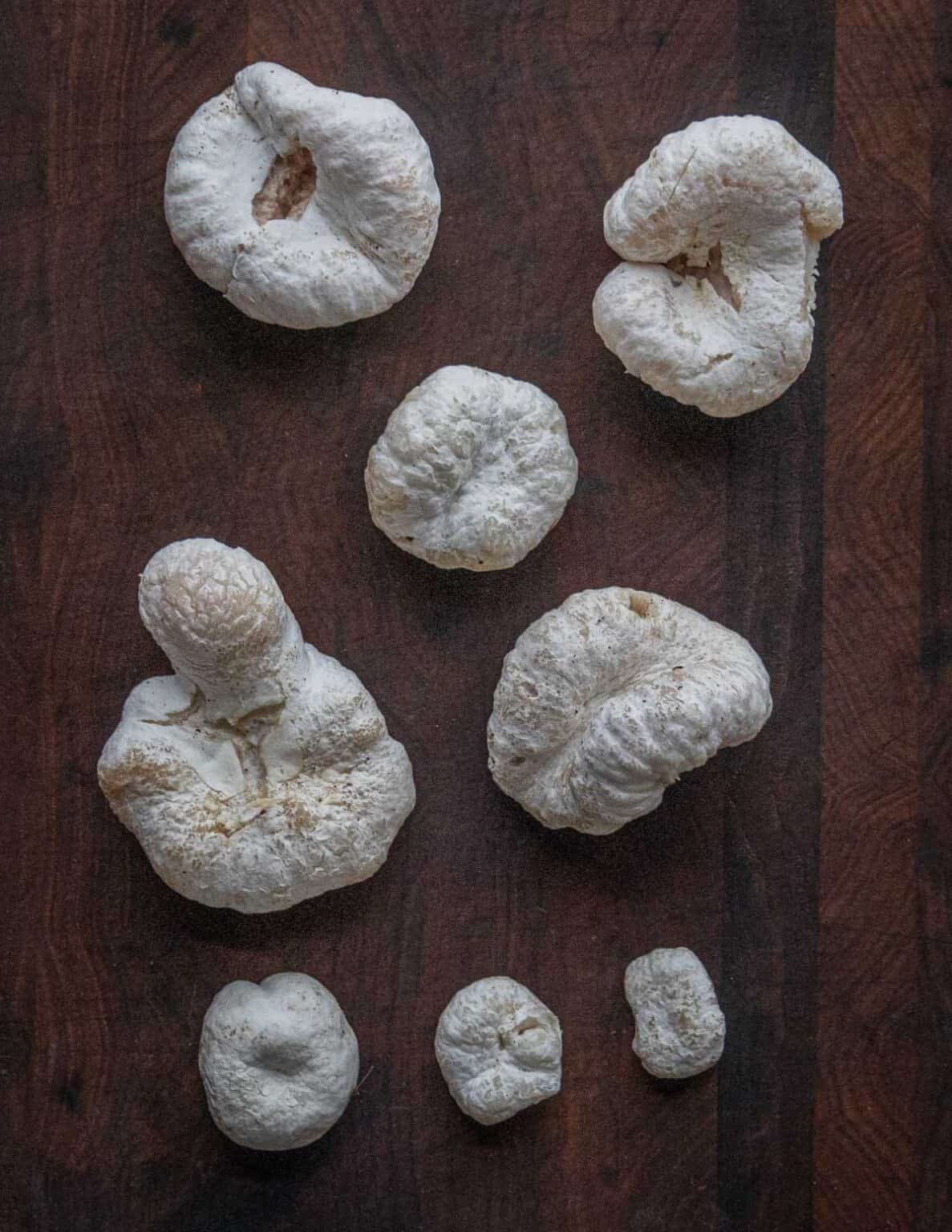 Shrimp of the Woods Mushrooms: Aborted Entolomas