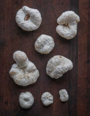 Shrimp of the Woods Mushrooms: Aborted Entolomas