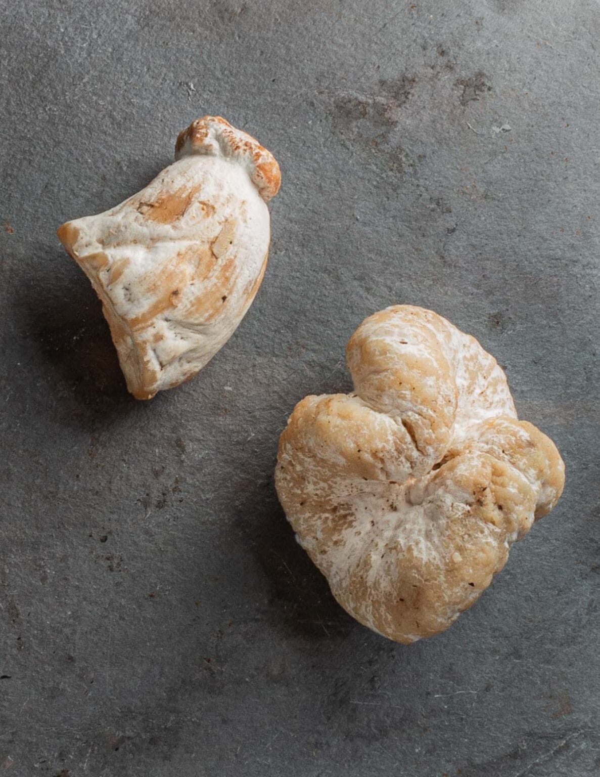 Shrimp of the Woods Mushrooms: Aborted Entolomas