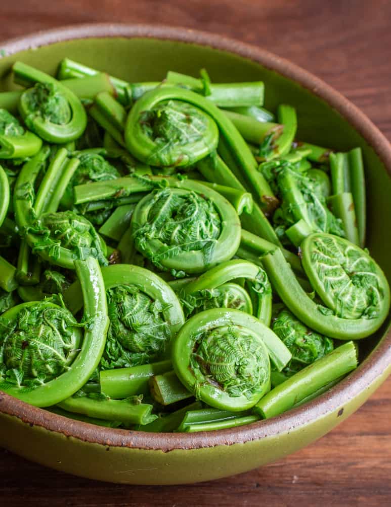 Fiddlehead Ferns: Identifying, Harvesting and Cooking