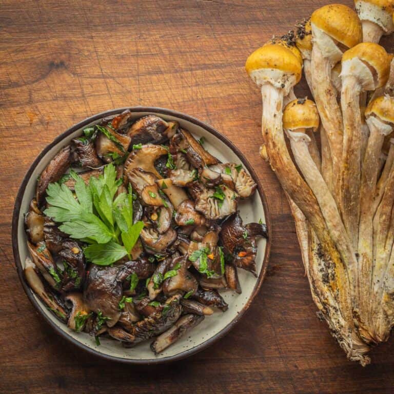 Sauteed honey mushrooms and their stems recipe