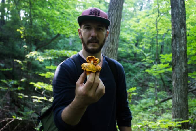 Tips for Successful Wild Mushroom Hunting - Forager | Chef