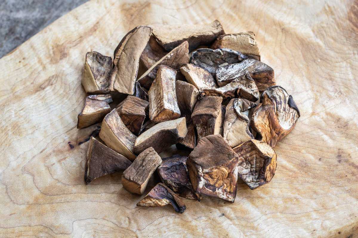 Cooking with Ischnoderma Resinosum, The Resinous Polypore