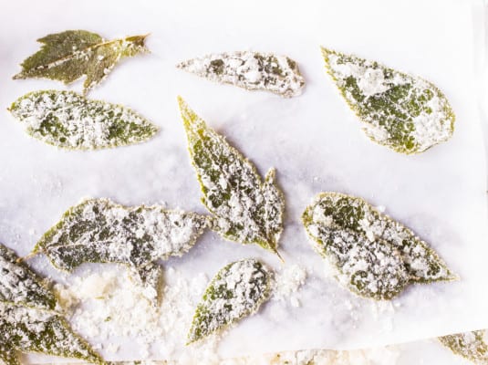 Candied Angelica Stems Recipe - Forager | Chef