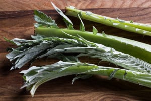 Preparing and Cooking Cardoons - Forager | Chef