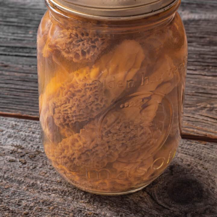 Pickled Morel Mushrooms Recipe - FORAGER | CHEF