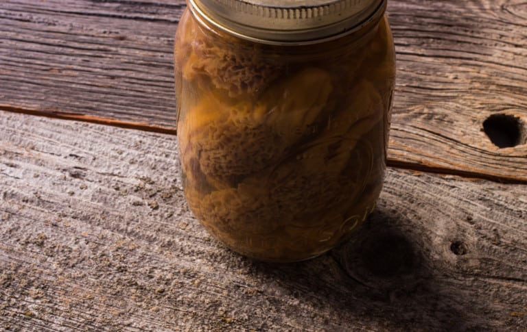 Pickled Morel Mushrooms Recipe - FORAGER | CHEF