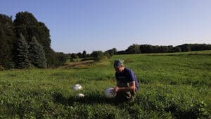 Classic Fried Puffball Mushrooms - Forager | Chef