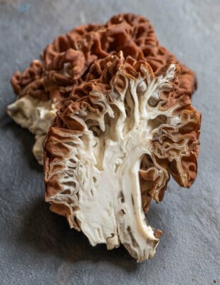 Cooking a False Morel or Gyromitra Mushroom