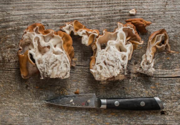 Cooking a False Morel or Gyromitra Mushroom