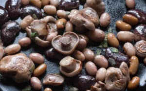 Guide to Blewit Mushrooms (Clitocybe Nuda) - Forager | Chef