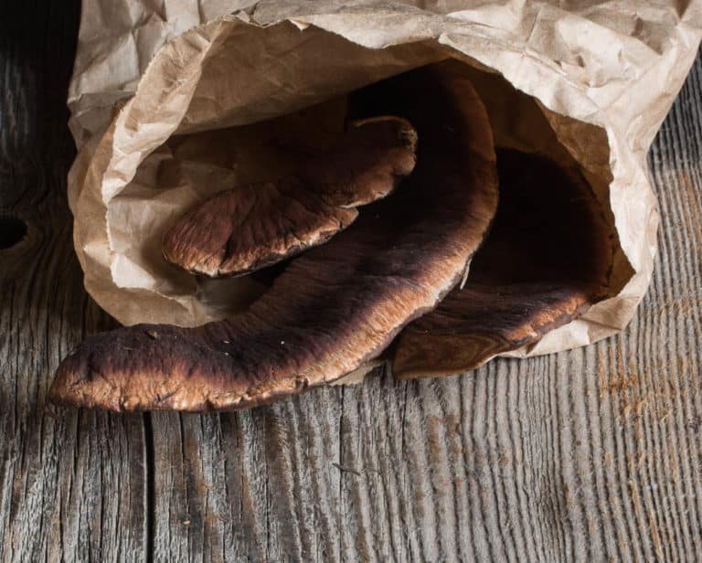 Ischnoderma Resinosum Mushroom Broth - Forager | Chef