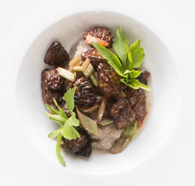 Foraging and Cooking Sochan or Cut-Leaf Coneflower Leaves