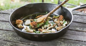 French Wild Mushrooms Bordelaise - FORAGER | CHEF