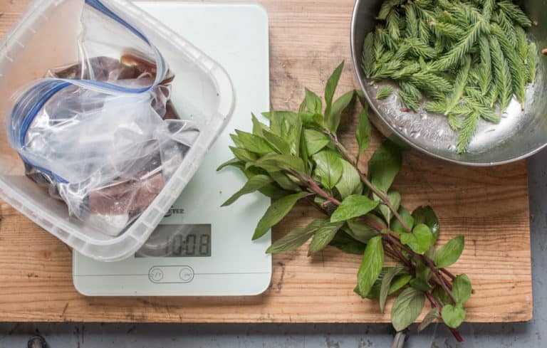 Making Homemade Garum From Freshwater Fish - Forager | Chef