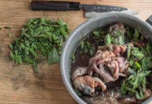 Making Homemade Garum From Freshwater Fish - Forager | Chef