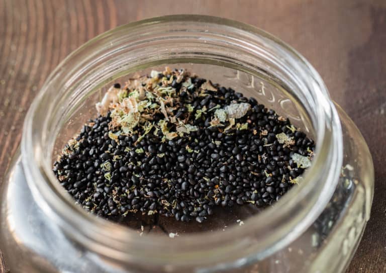 Cactus Seed Flour Sourdough Flatbread Recipe - Forager | Chef