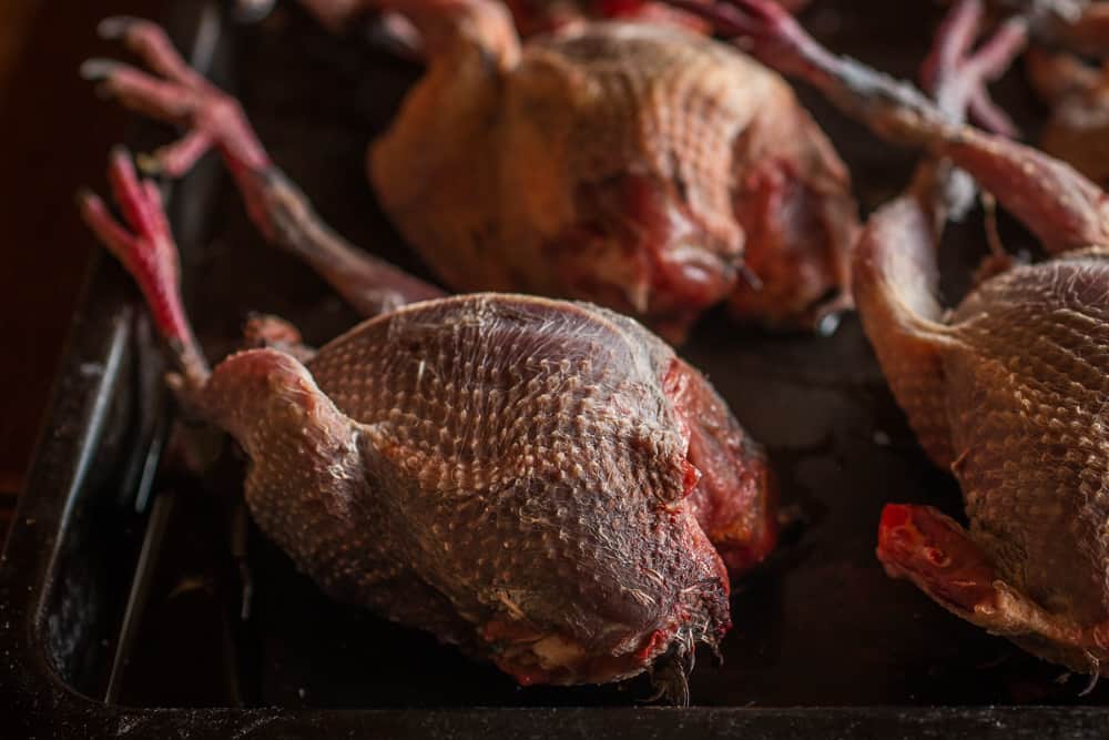 Pigeon Pie Recipe - Forager | Chef