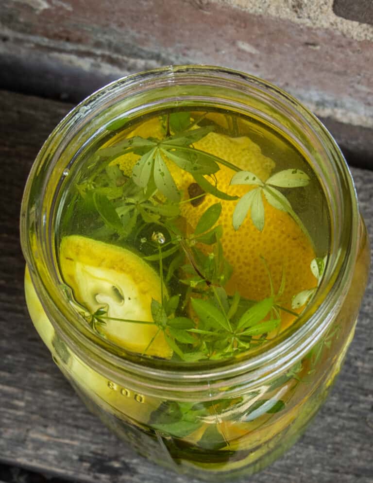 Nocino, or Black Walnuts Liqueur (Recipe) - Forager | Chef