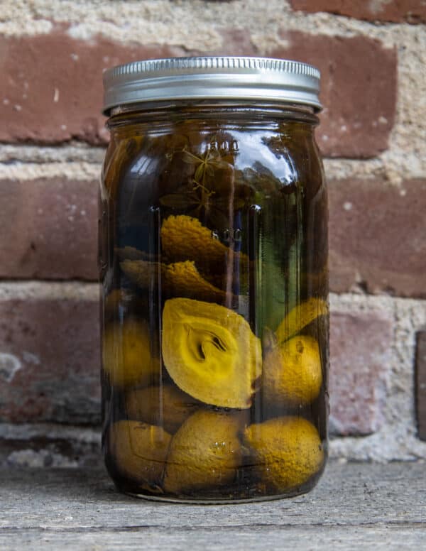 Nocino, or Black Walnuts Liqueur (Recipe) - Forager | Chef