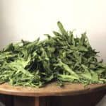 Dried Ramp Leaf Venison Jerky - Forager | Chef