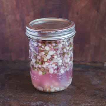 Brine Fermented Ramps - Forager | Chef