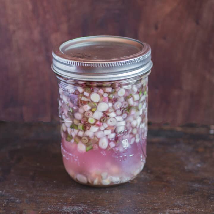 Brine Fermented Ramps - Forager | Chef