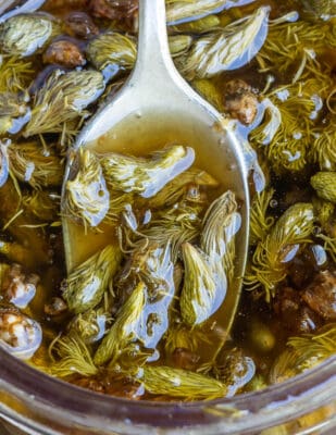 Classic Spruce Tip Syrup