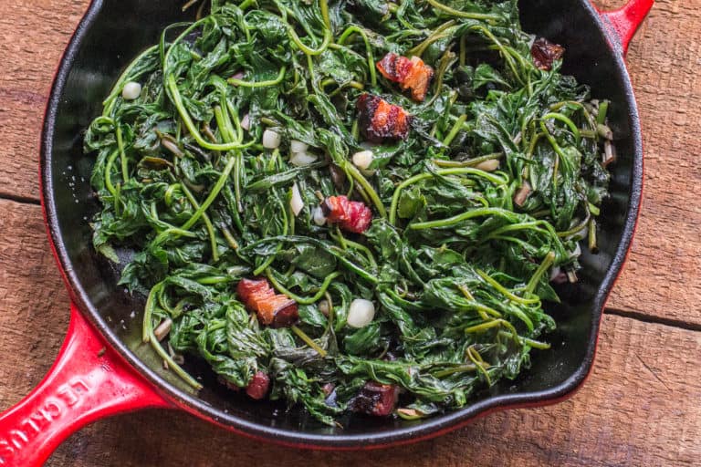 Foraging and Cooking with Sochan or Cut-Leaf Coneflower