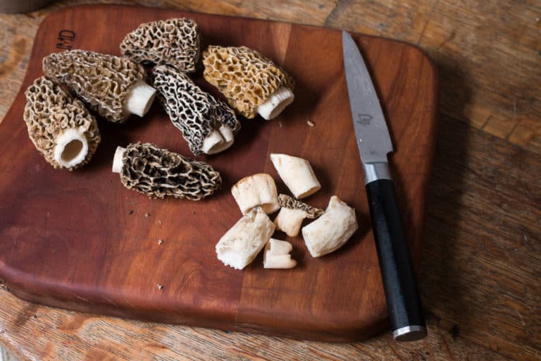 Morels Stuffed with Morel Sauce - Forager | Chef