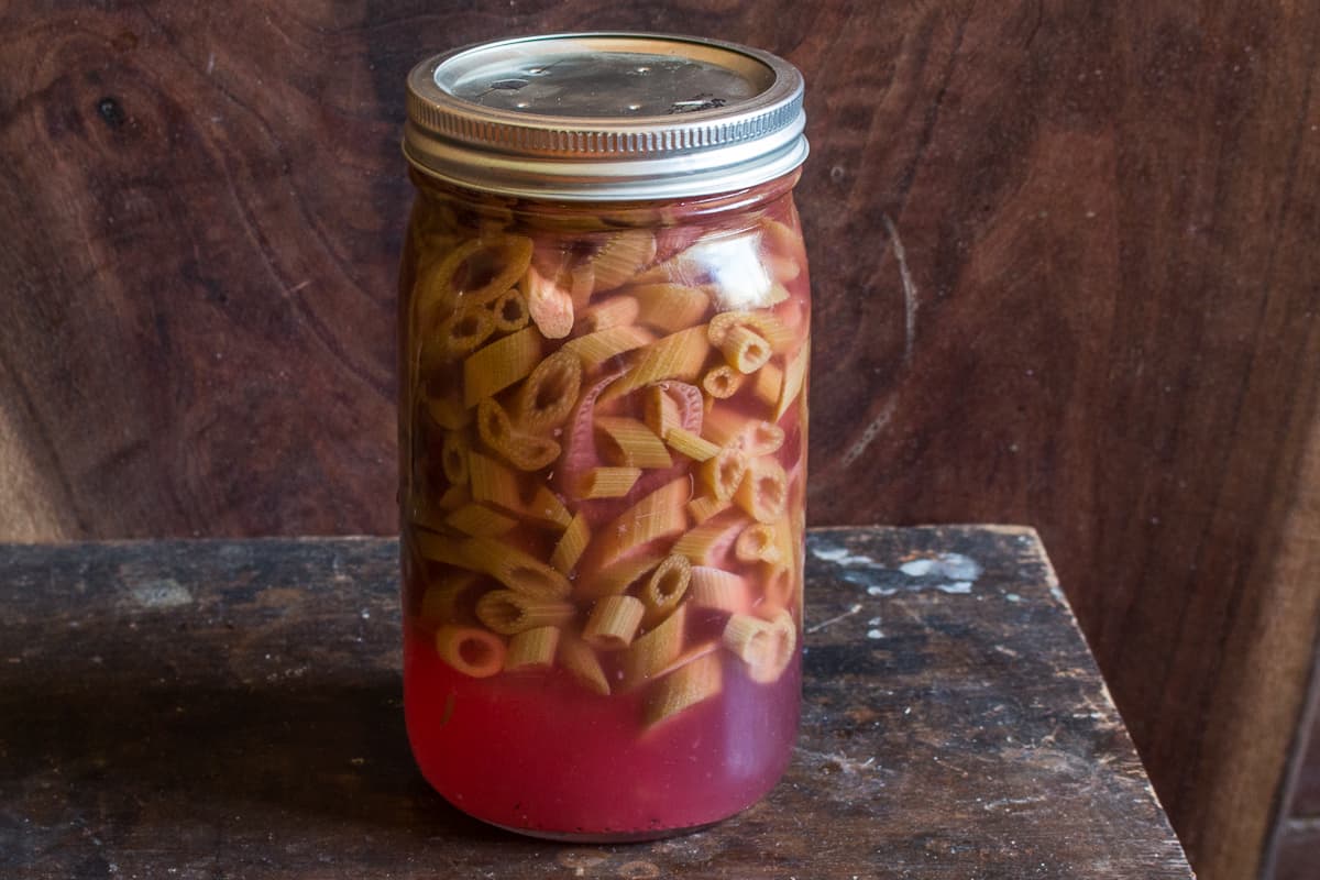 Pickled Angelica Stems Recipe - FORAGER | CHEF