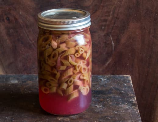 Pickled Angelica Stems Recipe - FORAGER | CHEF