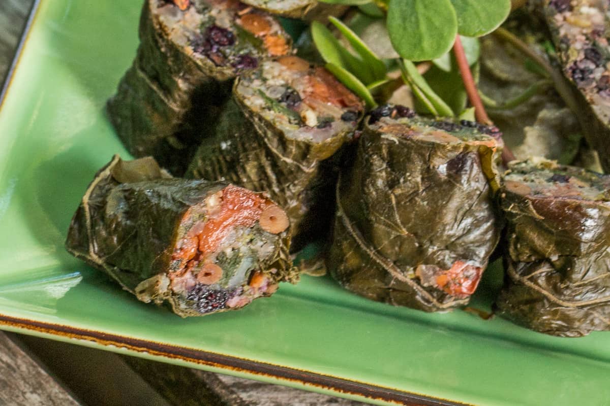 Vegetarian Stuffed Grape Leaves - FORAGER | CHEF
