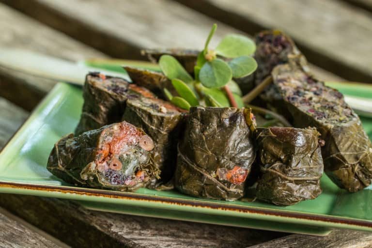 Vegetarian Stuffed Grape Leaves - FORAGER | CHEF