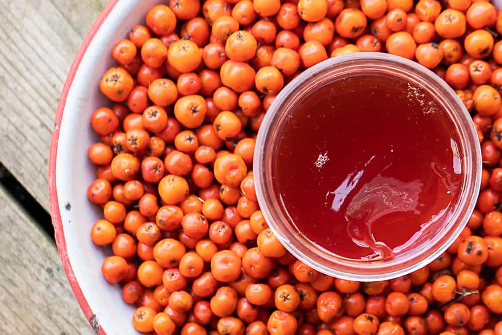Classic Rowanberry Jelly
