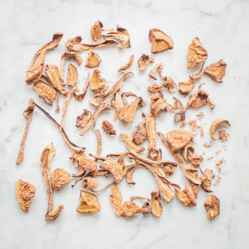 Angelo's Dried Wild Mushroom Ragu - FORAGER | CHEF