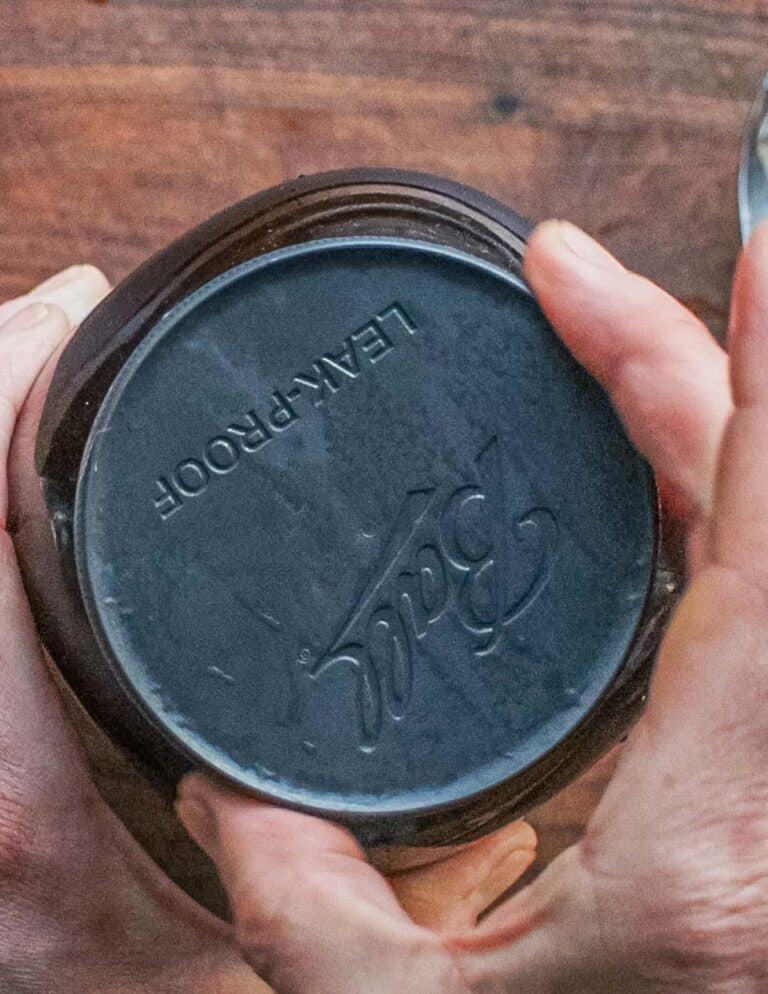 Crème de Cassis: The Blackcurrant Liqueur - Forager | Chef