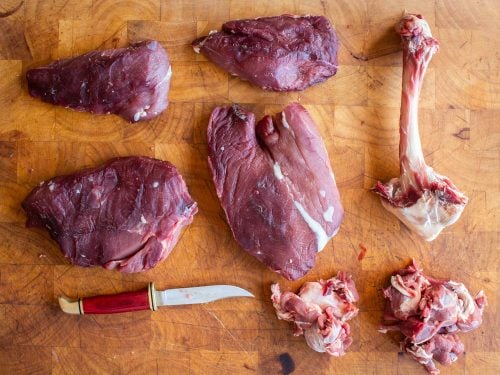 How to Dry Age Venison at Home - Forager | Chef