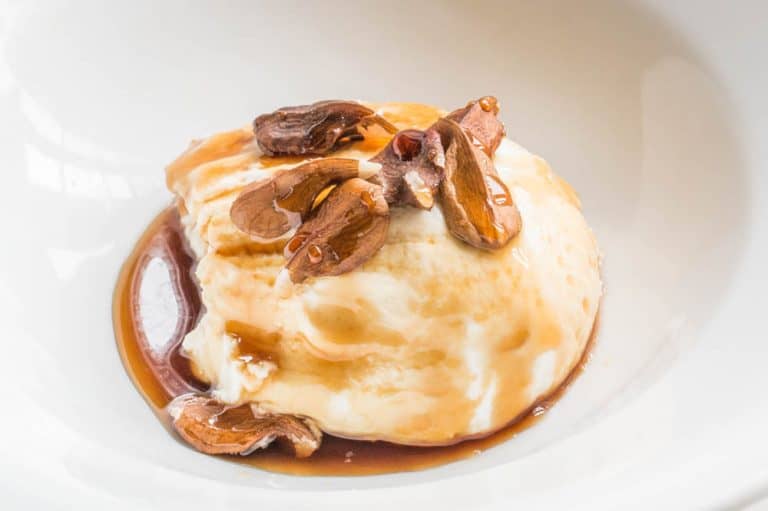 Foraging Butternuts or White Walnuts (Juglans cinerea)