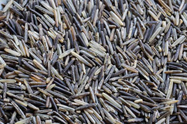 Wild Rice or Manoomin: A Buyers Guide - FORAGER | CHEF