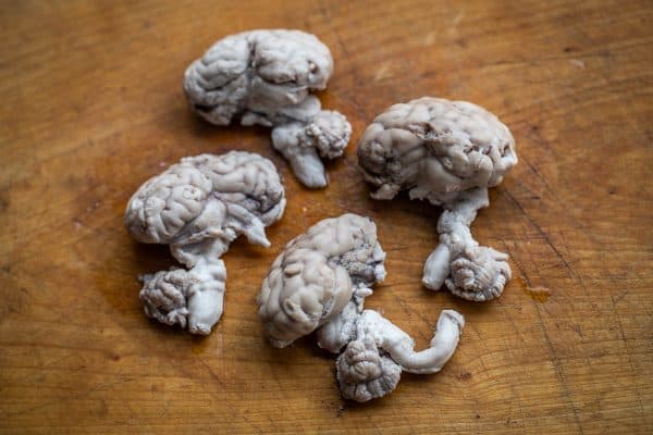 How to Cook Brains
