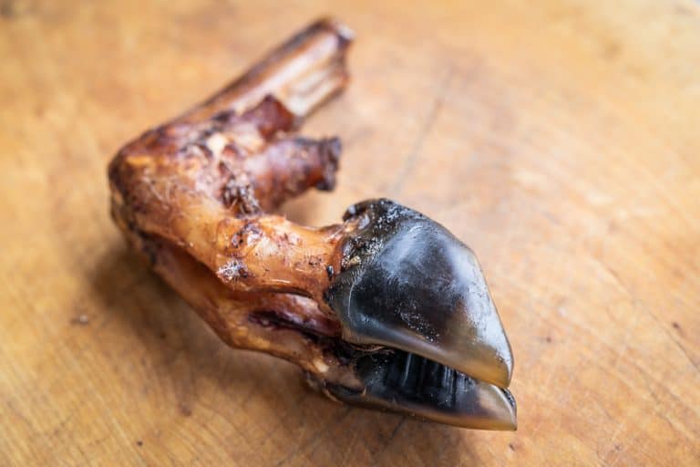 How to Cook with Venison Trotters (Deer Feet)