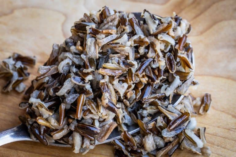 Wild Rice or Manoomin: A Buyers Guide - FORAGER | CHEF