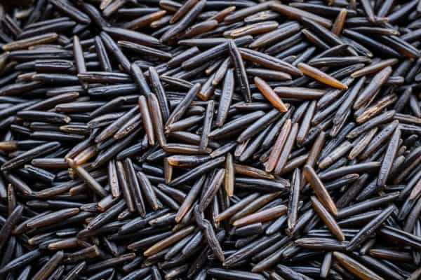 Wild Rice or Manoomin: A Buyers Guide - FORAGER | CHEF