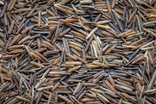 Wild Rice or Manoomin: A Buyers Guide - FORAGER | CHEF