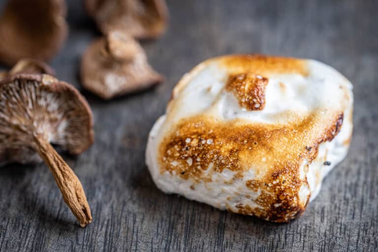 Candy Cap Mushroom Marshmallows - Forager | Chef