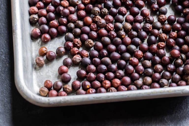 Foraging and Cooking with Hackberries (Celtis occidentalis)