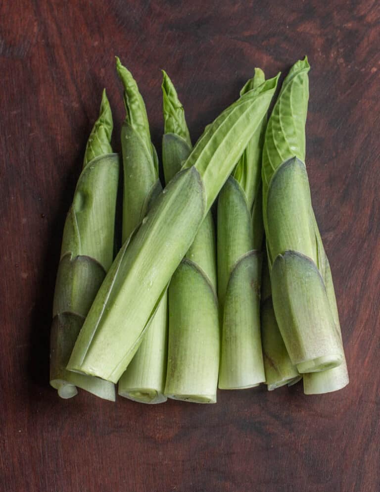 Hosta Shoot Kimchi - Forager | Chef
