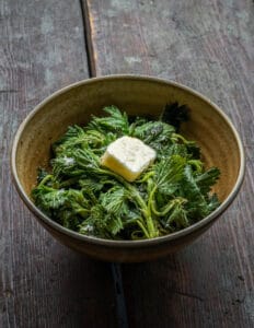 Stinging Nettles: Harvesting, Cooking and Recipes - Forager | Chef