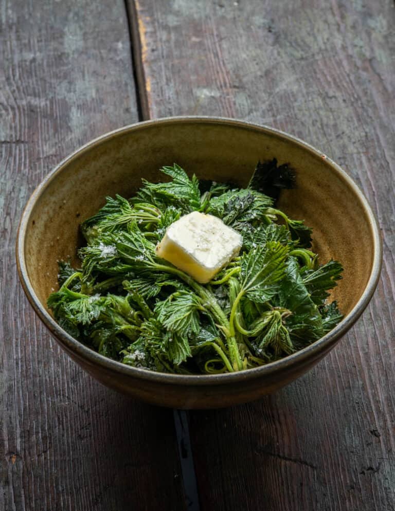 Stinging Nettles: Harvesting, Cooking and Recipes - Forager | Chef